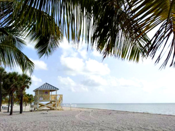 Key Biscayne, sport e mare – Lucy in Florida