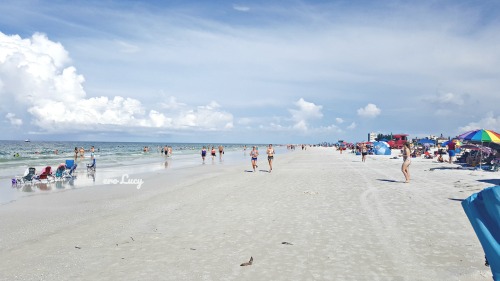 Da Miami a Siesta Key in un giorno – Lucy in Florida