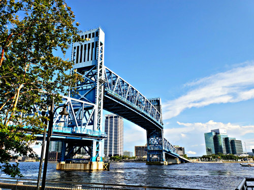 Visita a Jacksonville e ai luoghi della segregazione razziale – Lucy in ...