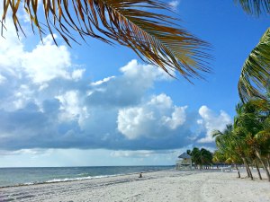 Key Biscayne, sport e mare – Lucy in Florida